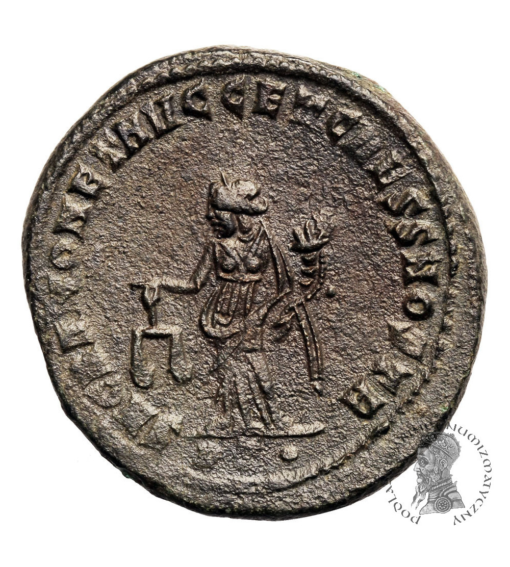 Rzym Cesarstwo. Dioklecjan 284-305 AD. AE Folis 300-303 AD, Ticinum (Pavia)