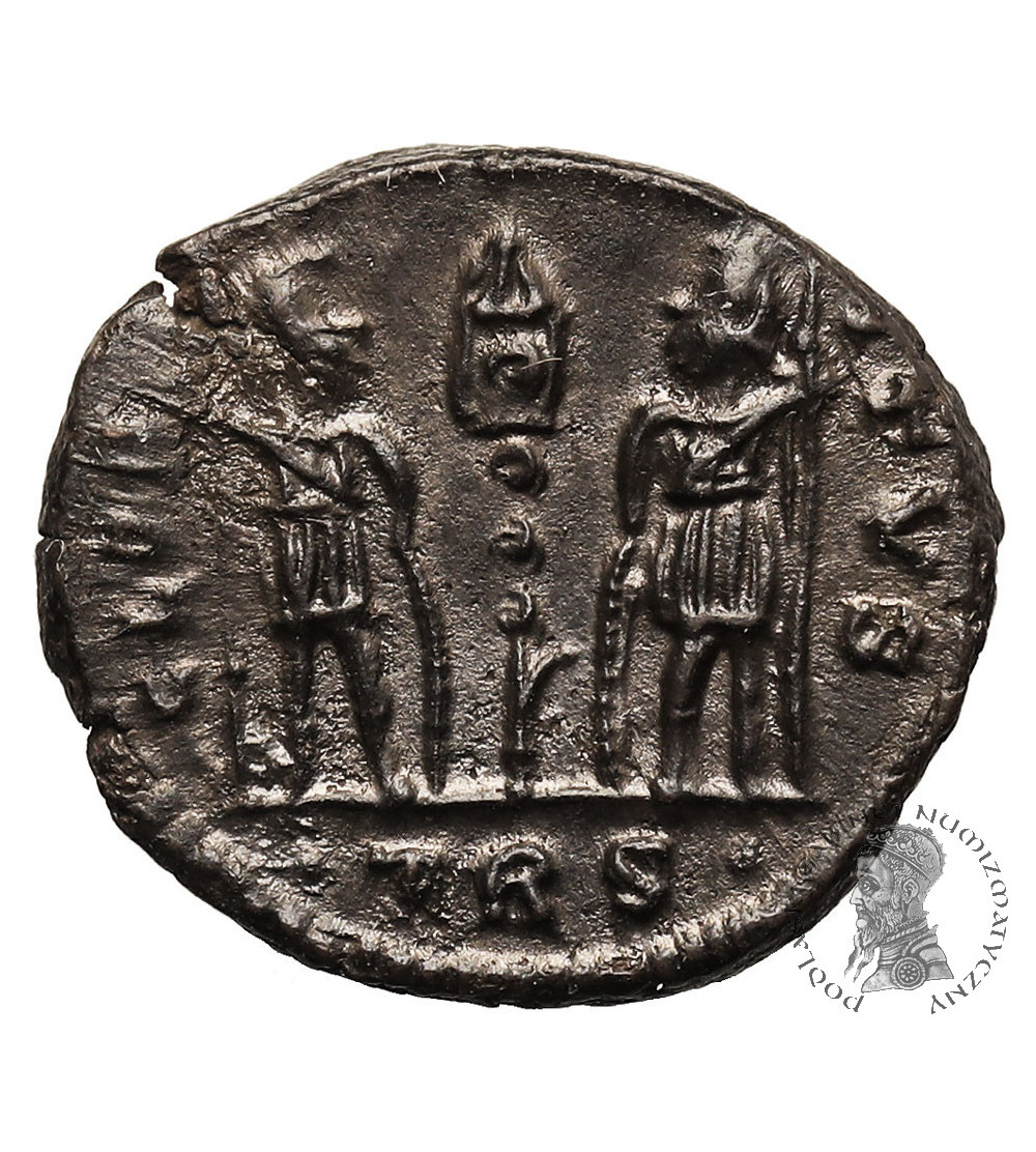 Roman Empire. Constantinus II, as Caesar, 316-337 AD. AE Follis, ca ...
