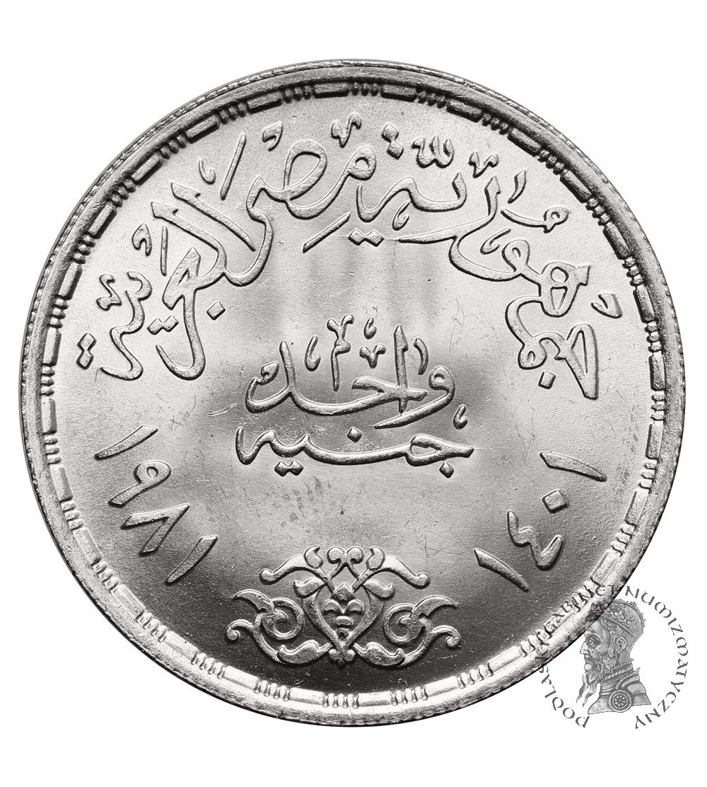 Egypt. 1 Pound AH 1401 / 1981 AD, 25th Anniversary of Nationalization ...